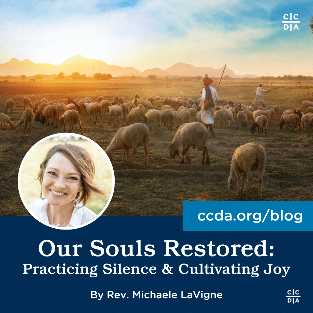 Our Souls Restored: Practicing Silence and Cultivating Joy » Christian ...